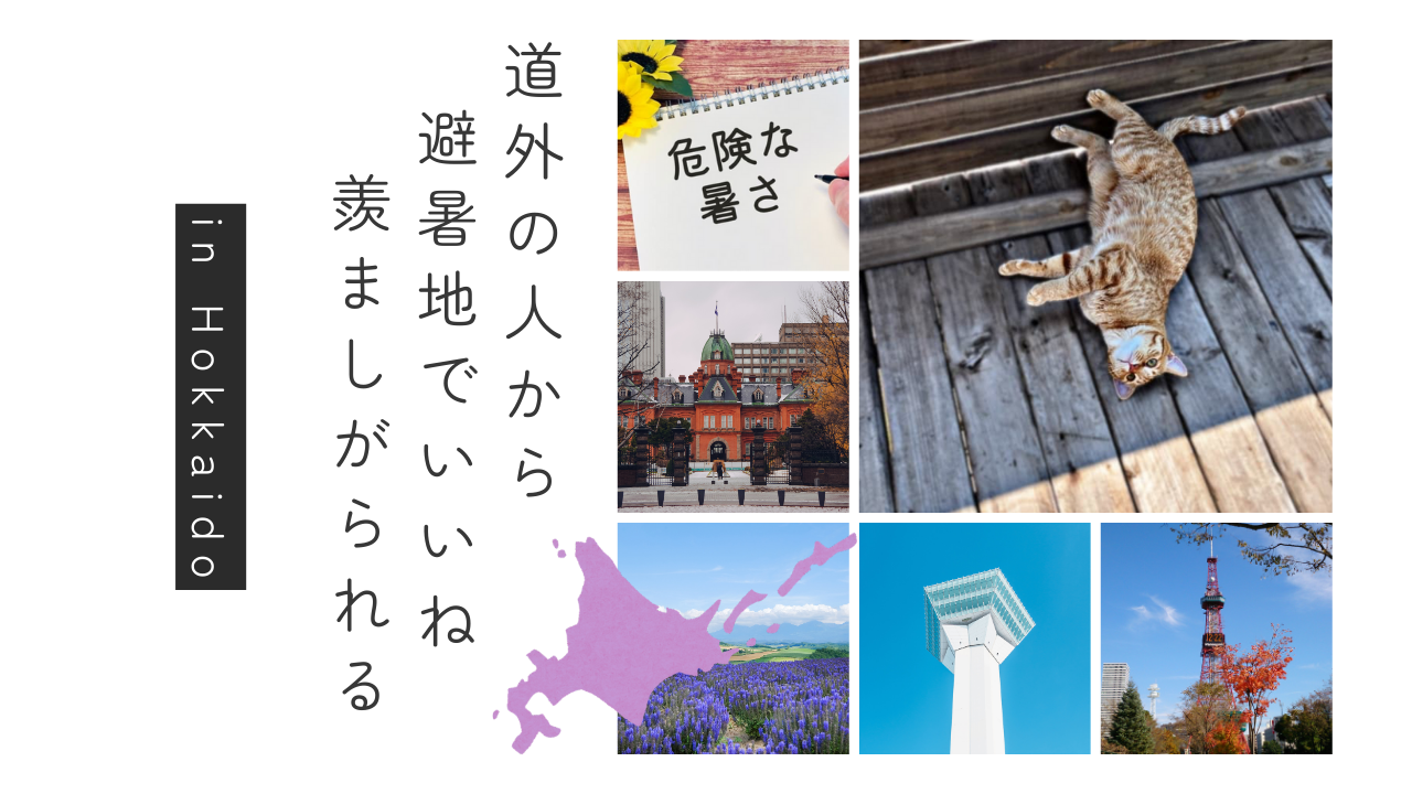 道外の人から「北海道は避暑地でいいね」と羨ましがられる - KINASSE